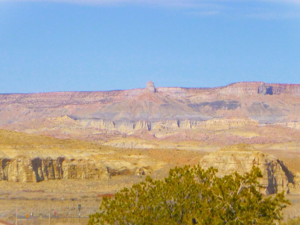 Forms | Tselani/Cottonwood