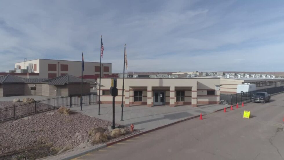 Forms | Tselani/Cottonwood